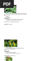 LS Magazine: Land Issue & Models | PDF | Computer File | Multimedia