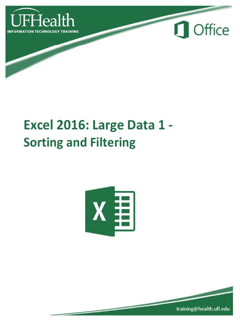Excel 2016: Large Data 1 : Sorting and Filtering | PDF | Letter Case ...