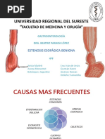 2) Clasificacion Esofagitis | PDF | La enfermedad por reflujo ...