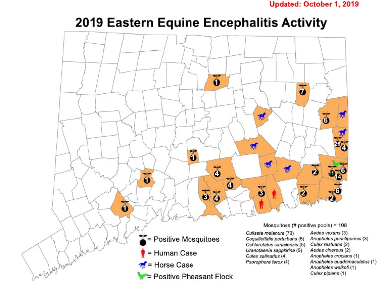 2019 EEE Activity Map | PDF