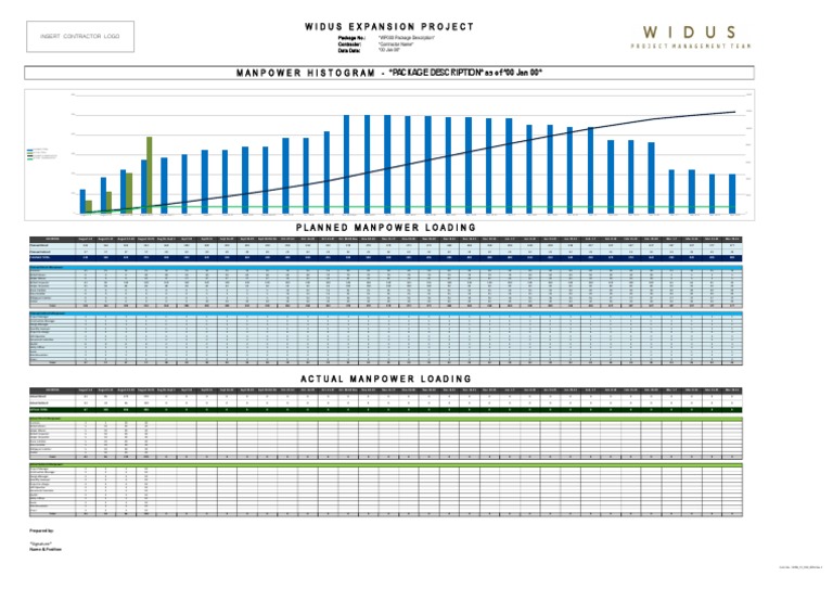 WPM PF PJW 0091 1 Manpower Histogram Template | PDF