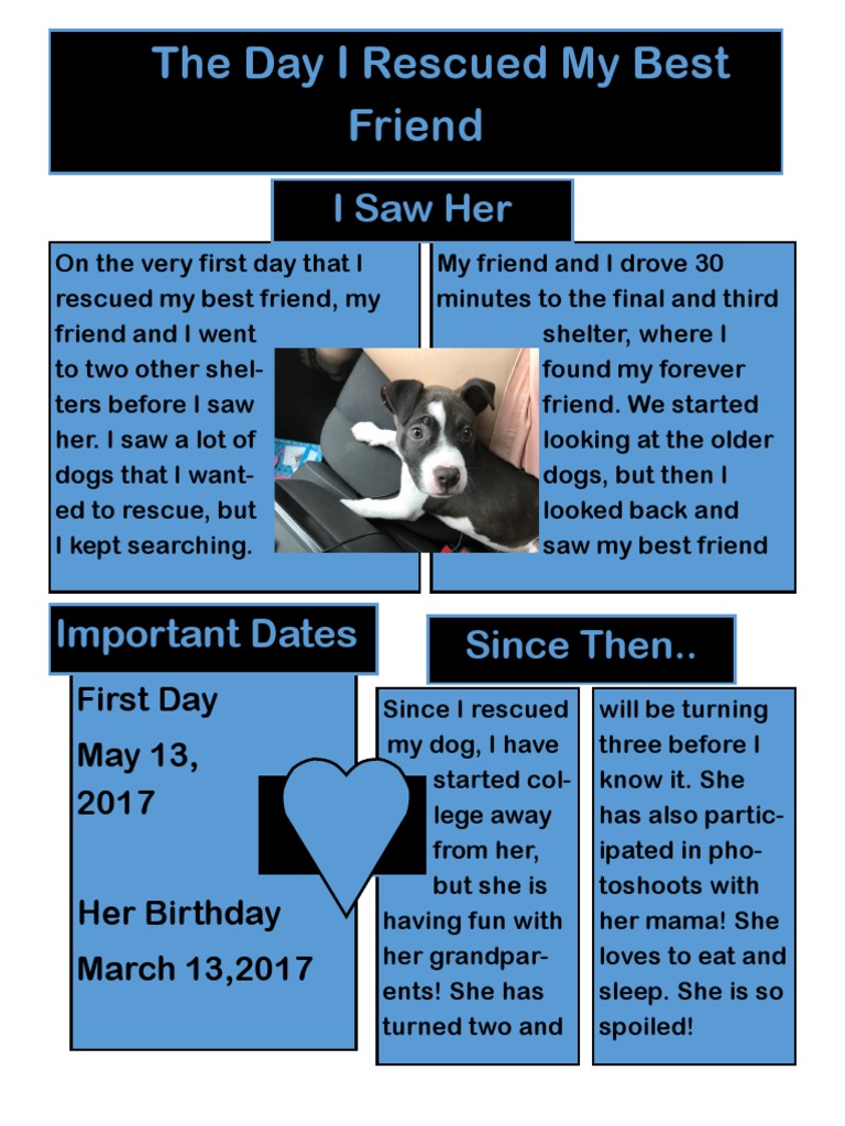 Module 303 Final Educ 204 | PDF