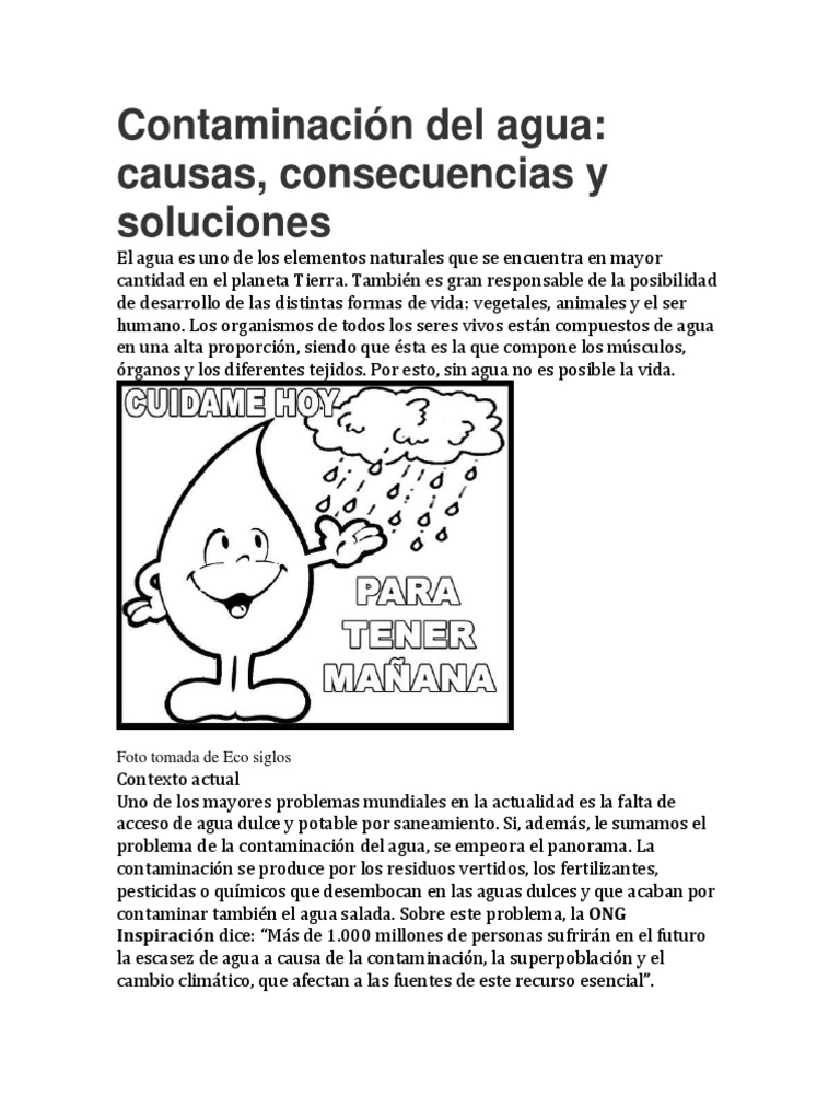Hoja De Trabajo Sobre La Contaminación Del Agua Informe Mundial De