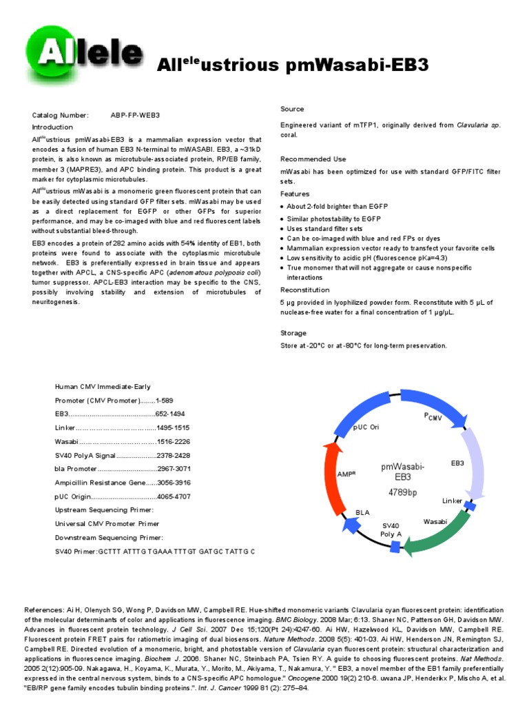 Pmwasabi EB3 | PDF | Green Fluorescent Protein | Biology