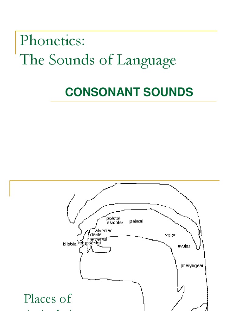 Phonetics: The Sounds of Language | PDF | Phonetics | Languages