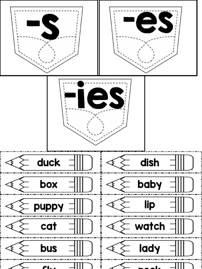 Suffix Plurals Pockets | PDF