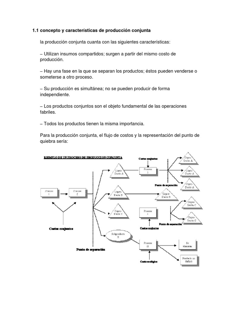 Concepto y Características de Producción Conjunta | PDF