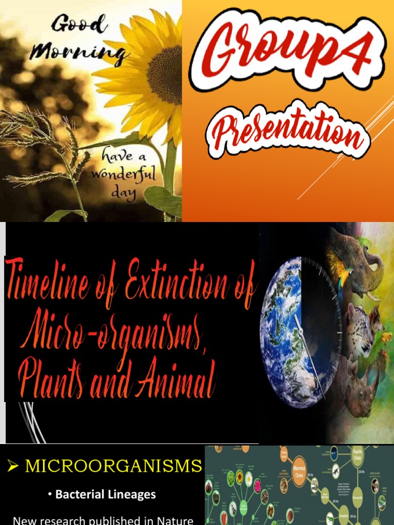 TIMELINE of Extinction | PDF | Extinction | Organisms