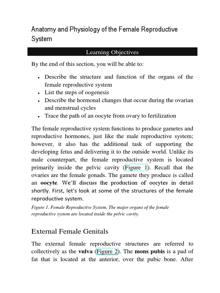Anatomy and Physiology of The Female Reproductive System | PDF ...