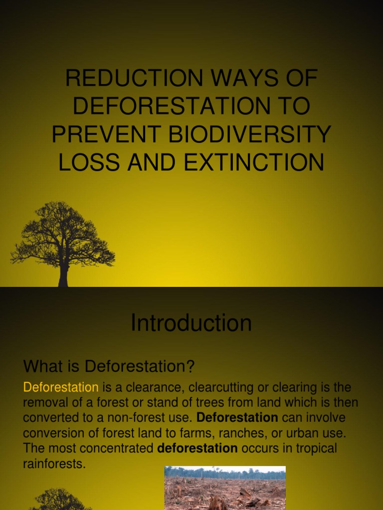 Reduction Ways of Deforestation To Prevent Biodiversity Loss and ...