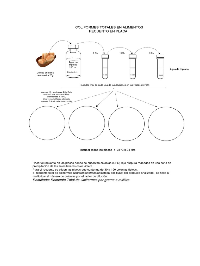 Práctica N - 2 Protocolo Coliformes Totales en Alimentos Recuento en ...