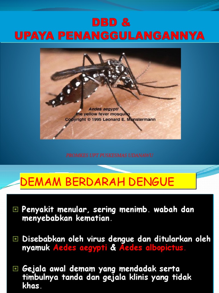 Materi DBD Dan Pencegahannya | PDF