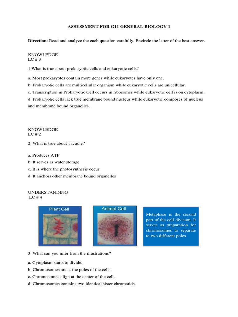 Assessment For SHS GenBio I | PDF | Mitosis | Cell (Biology)