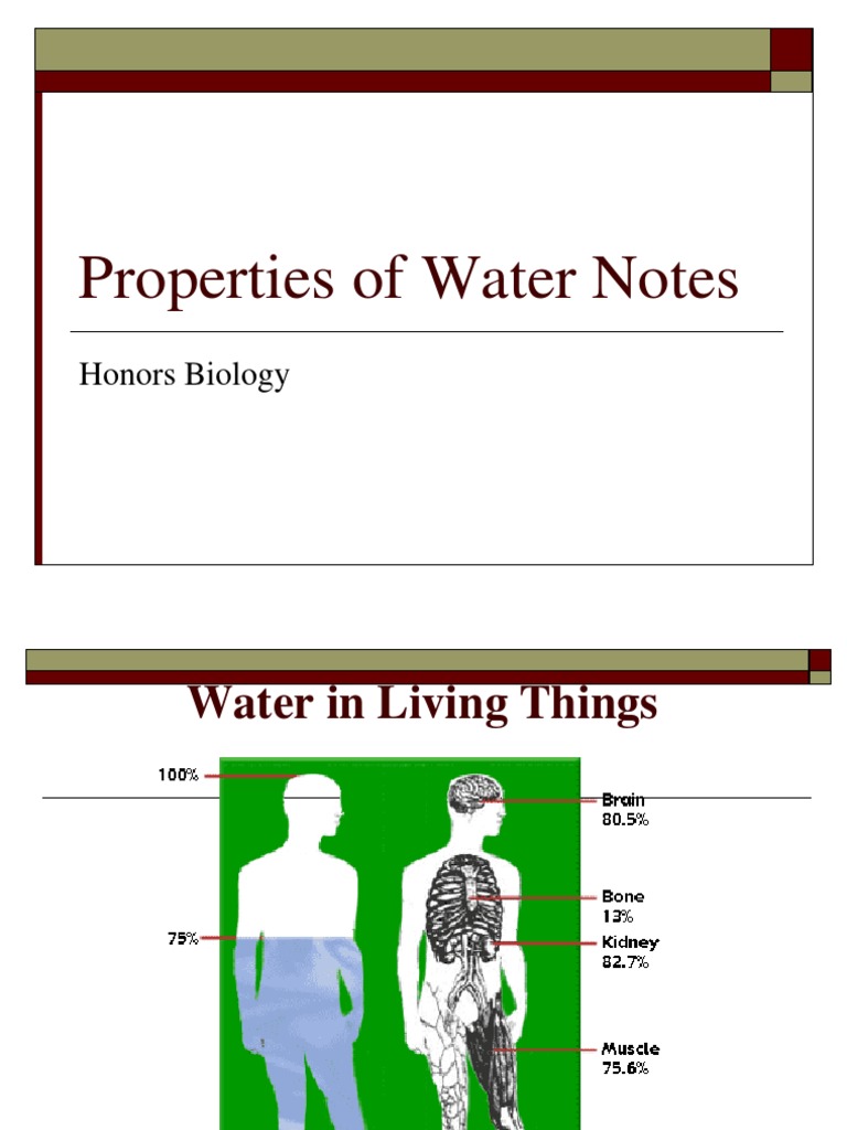 Properties of Water Notes: Honors Biology | PDF | Properties Of Water ...