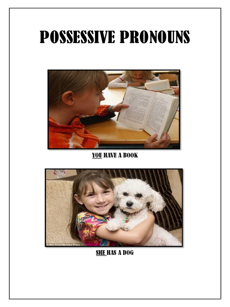 Understanding Possessive Pronouns | PDF