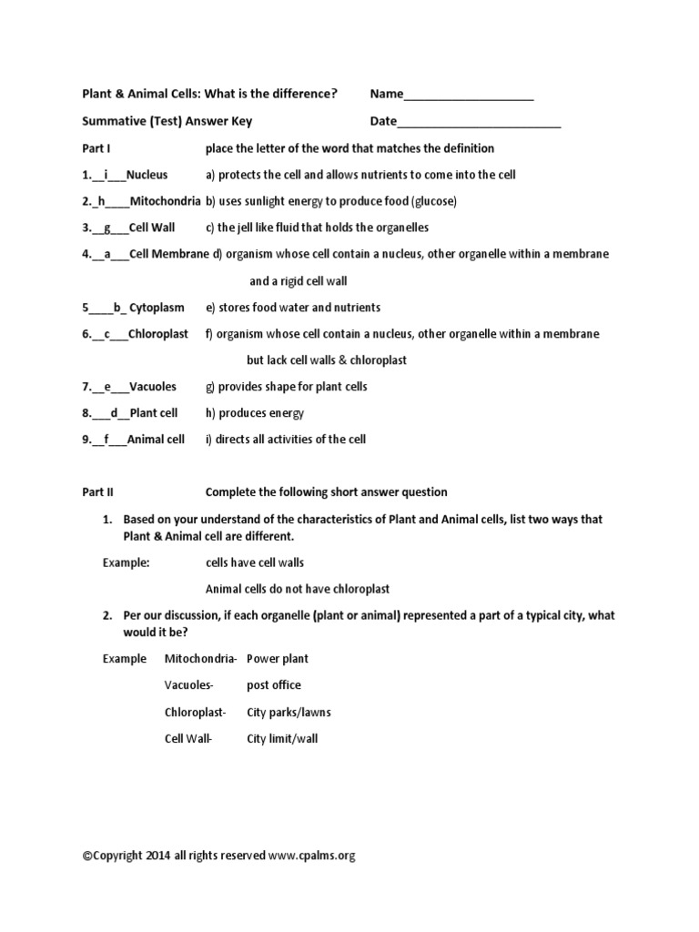 PlantAnimal Cell Answer Key | PDF