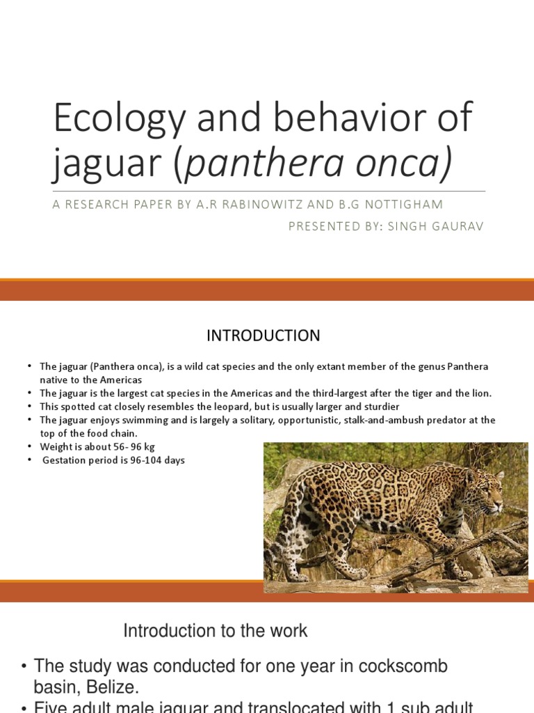 Jaguar Ecology and Behavior Study | PDF