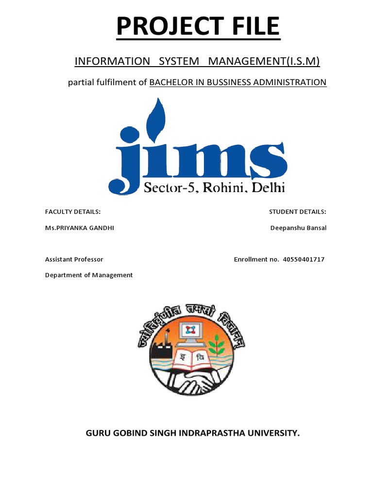 Project File: Information System Management (I.S.M) | PDF