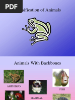 Mga Bilang 1-100 Tagalog With Symbol and Pronunciation | PDF