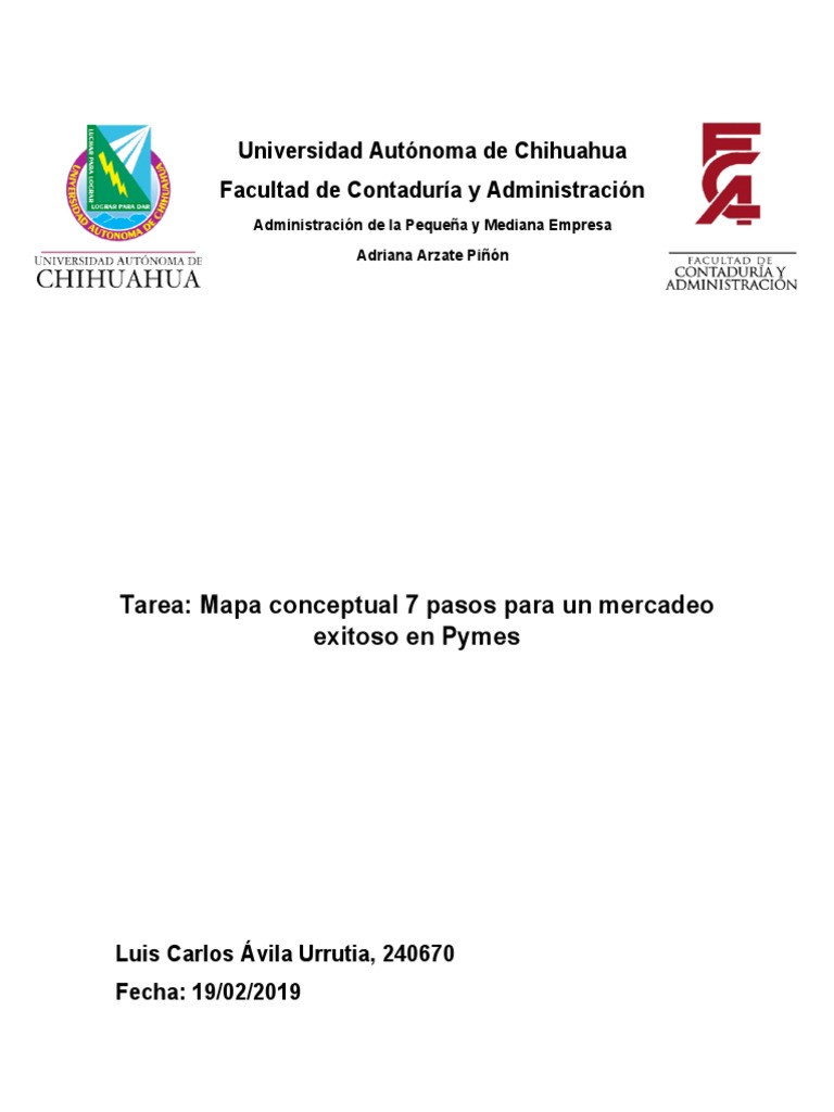 Tarea S7 - Mapa Conceptual 7 Pasos para Un Mercadeo Exitoso en Pymes | PDF | Marketing | Publicidad