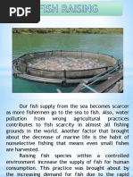 Philippine Fish Names and Species Guide | PDF | Philippines | Seafood