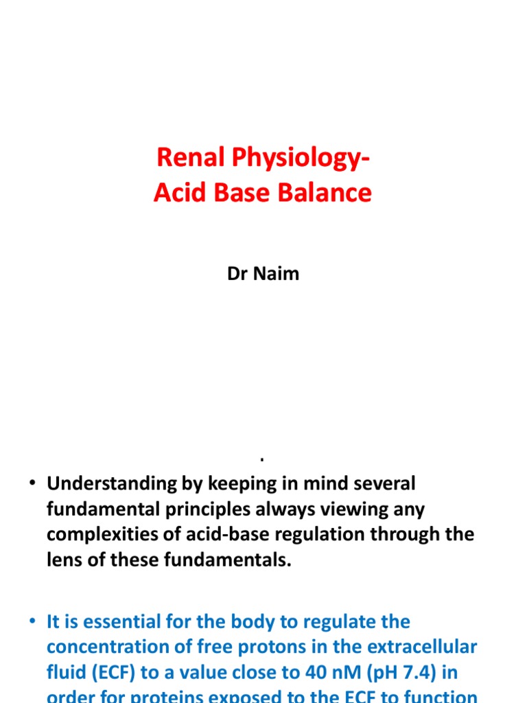 Renal Physiology Acid Base Balance | PDF | Kidney | Buffer Solution