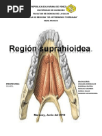 Región Maseterina | PDF | Salud y bienestar