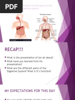 Digestive System Labeling Worksheet | PDF