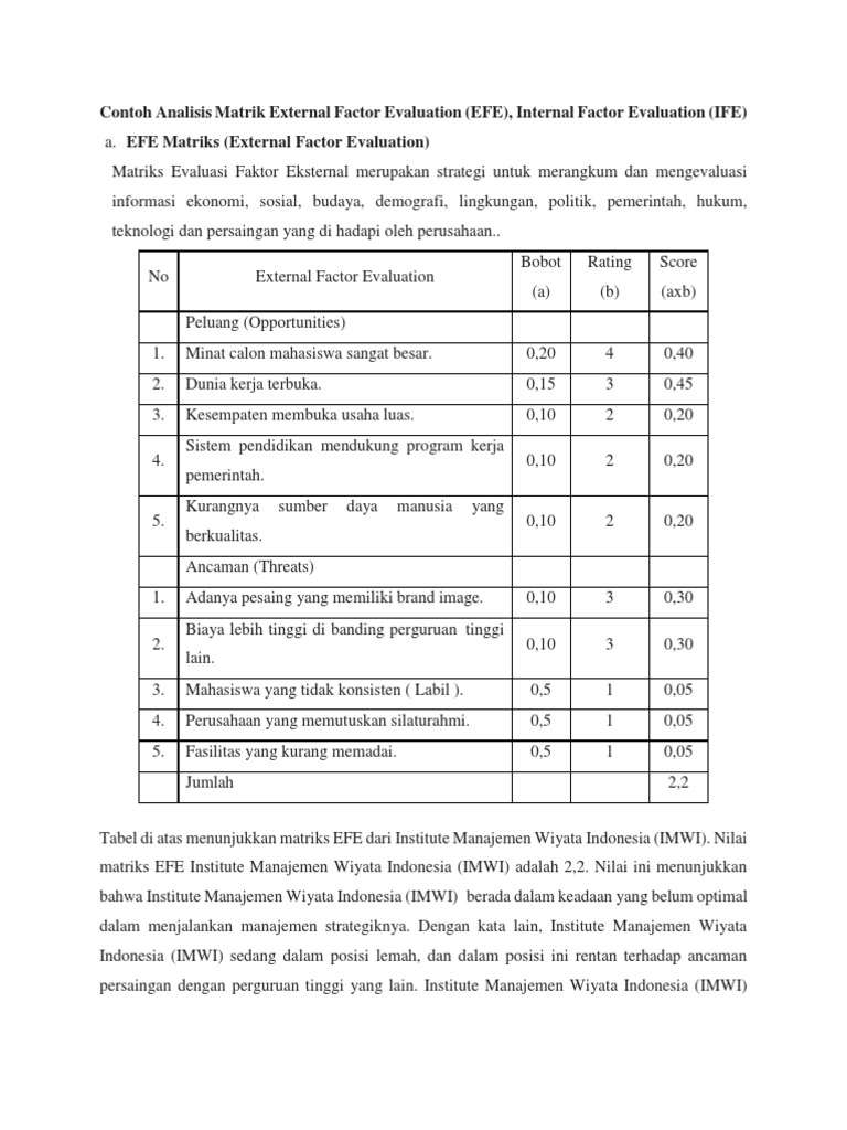 Analisis Matriks EFE dan IFE IMWI | PDF | Karier & Perkembangan