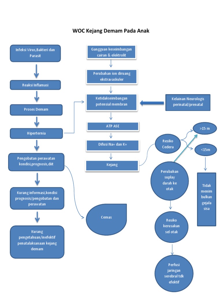 WOC Kejang Demam Pada Anak | PDF