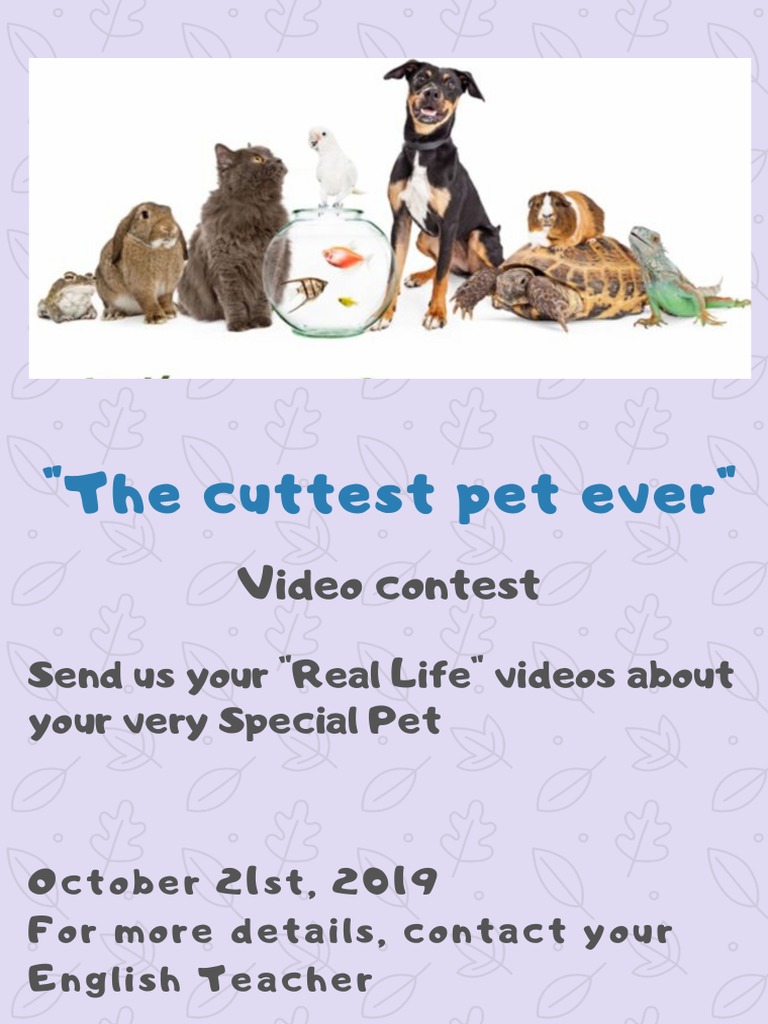 "The Cuttest Pet Ever": Video Contest | PDF | Home & Garden | Art