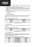 Test de Nugent: Diagnóstico Vaginosis | PDF | Microorganismo | Técnicas ...