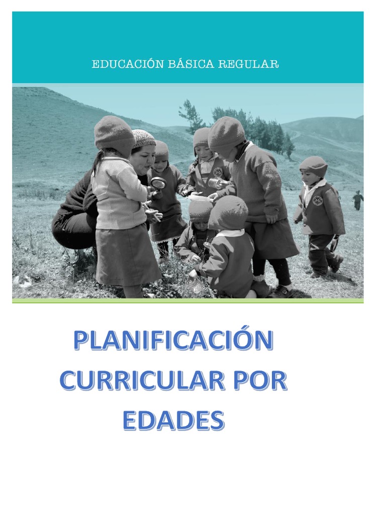 Programa Curricular 5 Años | PDF