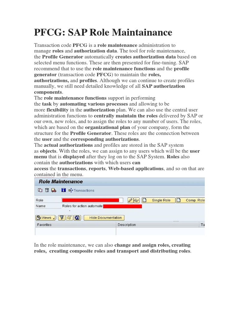 PFCG: SAP Role Maintainance | PDF