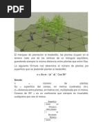 Método de Tres Bolillo | PDF
