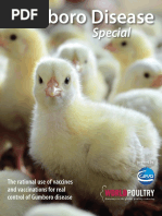 Brill Program for Feed Formulation | PDF | Information Technology ...