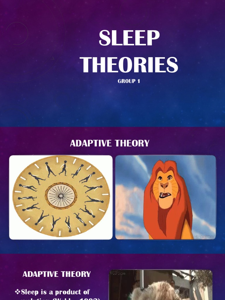 Sleep Theories | PDF | Science & Mathematics