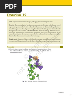 Controlled Pollination: Emasculation & Bagging | PDF
