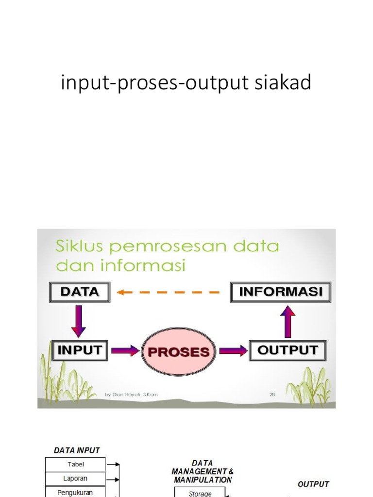 Input-Proses-Output Siakad | PDF