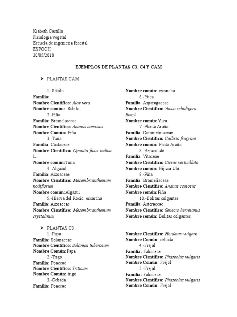 Plantas C3 | PDF | Plantas | Botánica