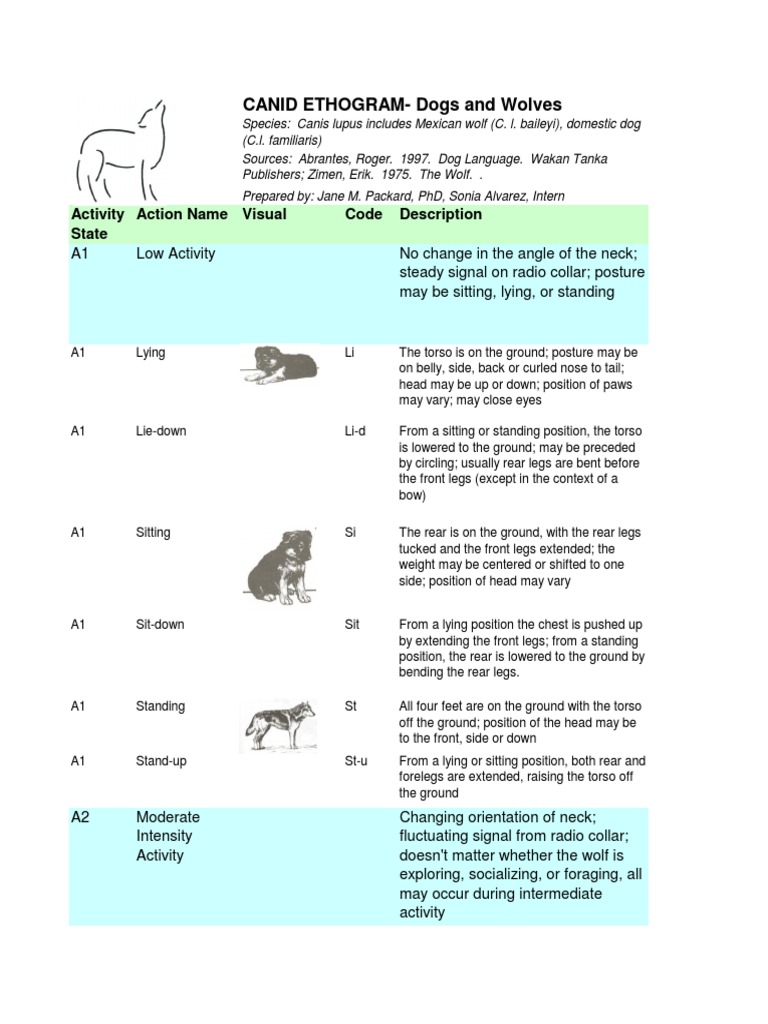 Canine Ethogram: An Inventory of Behavioral Actions and States in Dogs ...