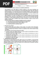 Evaluación Diagnostica Del Área de Ciencia y Tecnología Del 2do Grado ...