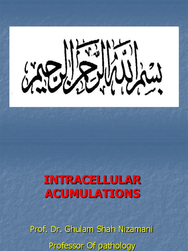 Understanding Intracellular Accumulations | PDF | Anatomy | Medical ...