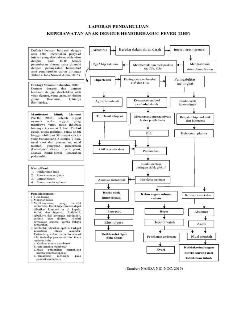 LP DHF Mapping | PDF