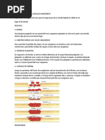 MR Sopa | PDF | Reanimación cardiopulmonar | Medicina