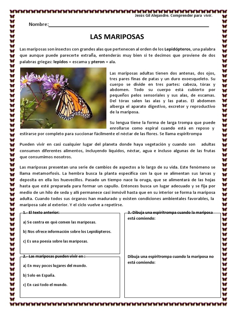 Las Mariposas Cuarto | PDF | Lepidópteros | Zoología