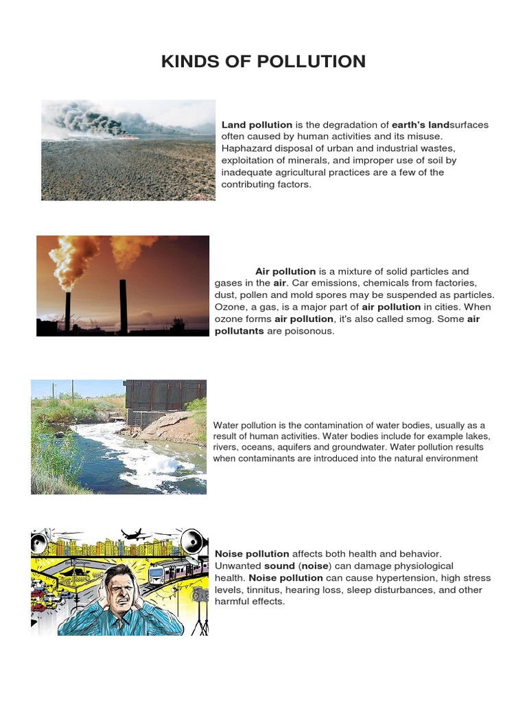 Types of Pollution Explained | PDF