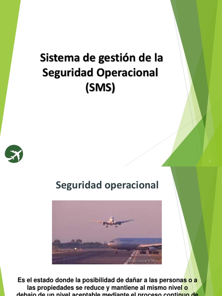 Seguridad Operacional | PDF | Comportamiento | Software