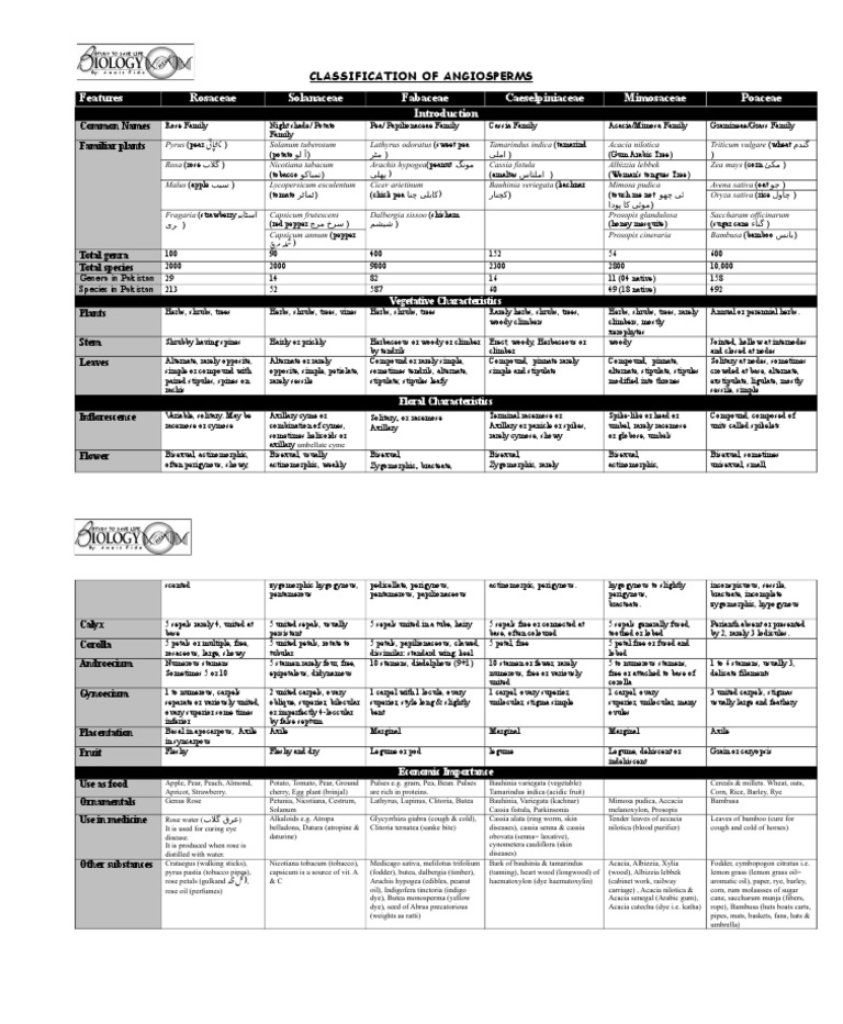 Plant Families | PDF | Horticulture And Gardening | Botany