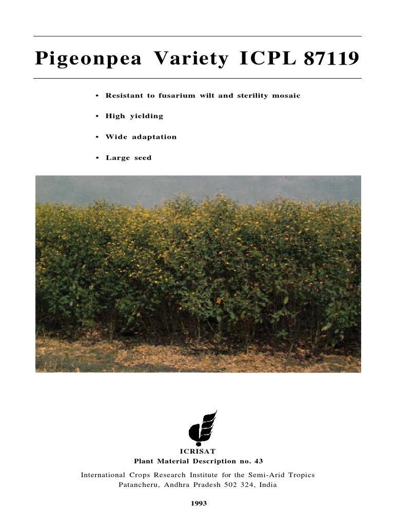 PMD 43 | PDF | Domesticated Plants | Botany